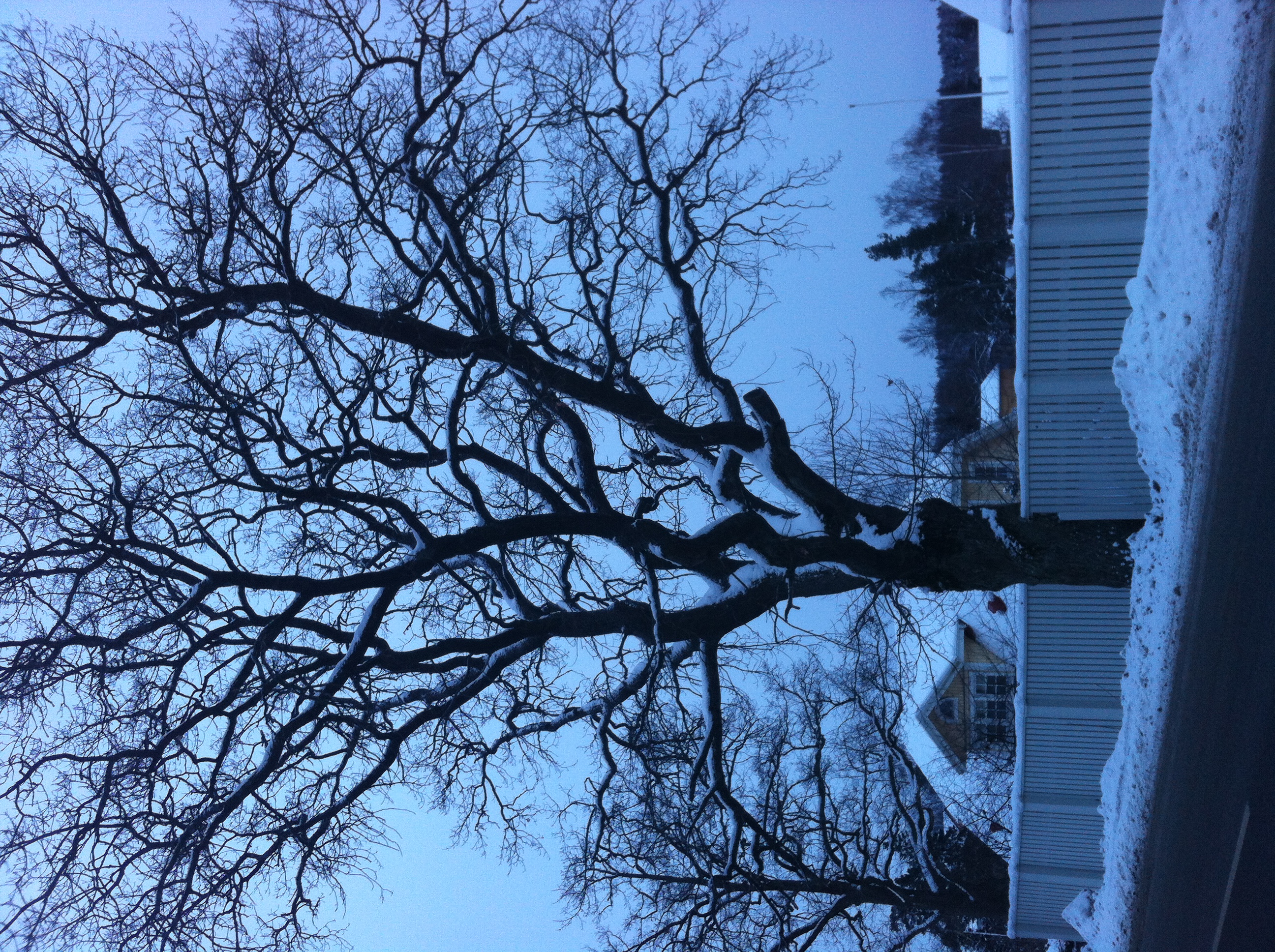 Gamla Södertäljevägen – Pernilla Claug